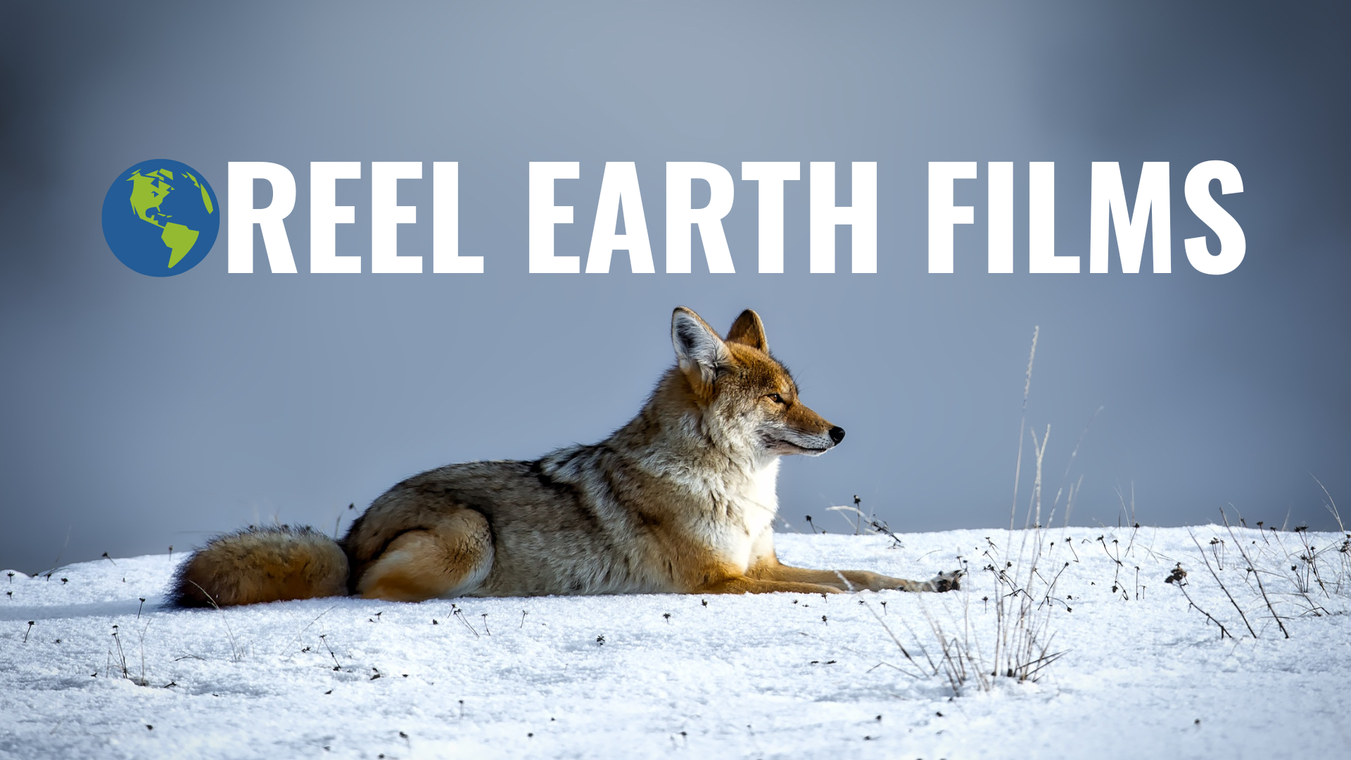 DONATE - Reel Earth Films